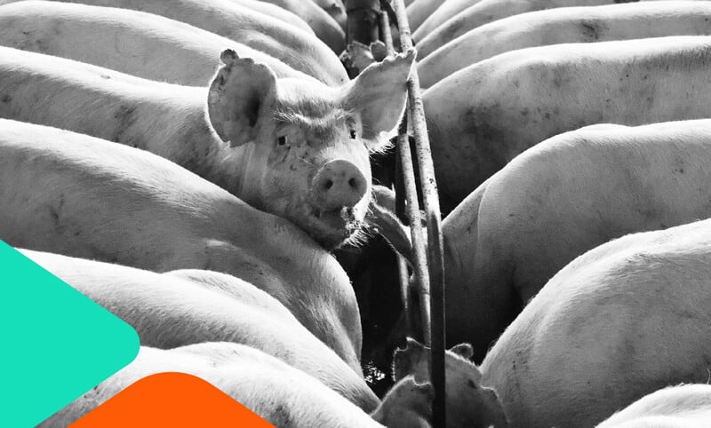 How Governments Control the Flow of Goods Through Regulations | e2open